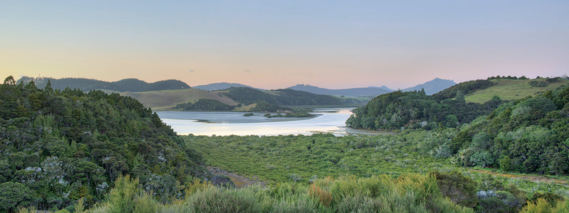 Our Story – Tahi Health ANZ